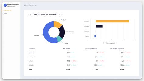 Mastering Social Media Audience Analysis A How To Guide