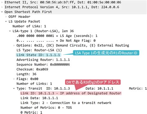 Ospf Network Type Broadcast ゆるふわねっとわーく