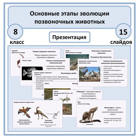 Презентация по биологии Основные этапы эволюции позвоночных животных 8 класс