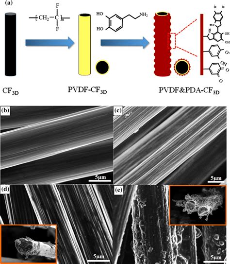 A Schematic Figure Of The Process Of Pvdf Cf3d And Pvdfandpda Cf3d Download Scientific Diagram
