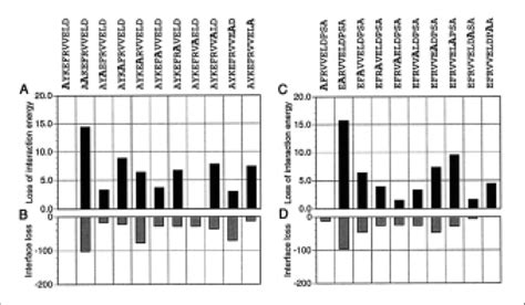 An In Silico Alanine Scanning Of The S1 A B And S2 C D Peptide In Download Scientific