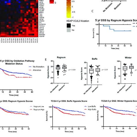 Copy Number Variation Cnv Analysis Heat Map Illustrating Download Scientific Diagram