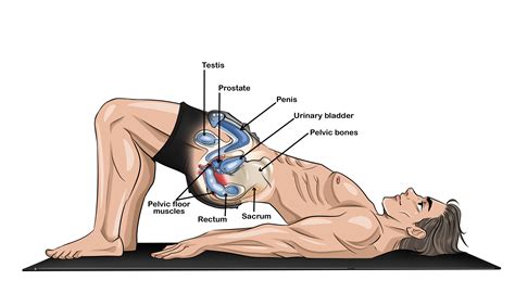 Easy Methods To Get Better At Sex Babe Of Squirt