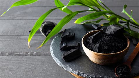Charcoal In The Potting Mix Good Or Bad