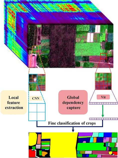 Japans Sar Data Breakthrough Boosts Crop Classification Precision Agritech Insights