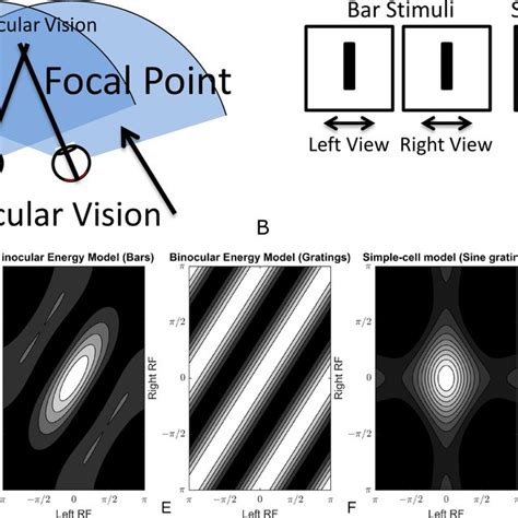 Properties Of Different Models Of Binocular Integration The Top Row Download Scientific