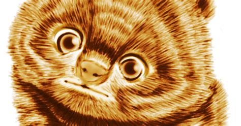 Beautiful Proportions Cub Sketch