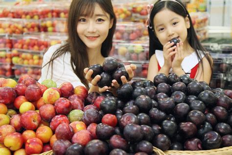 포토 자두보다 더 달콤한 체리자두