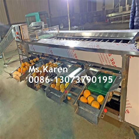 longan grader machine mangosteen size sorting machine cherry tomato