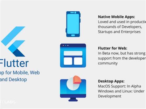 Android Ios Web Project With All Functionality In Flutter Upwork