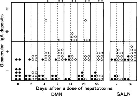 Figure 2 From Contribution Of Hepatic Reticuloendothelial System To Glomerular Iga Deposition In