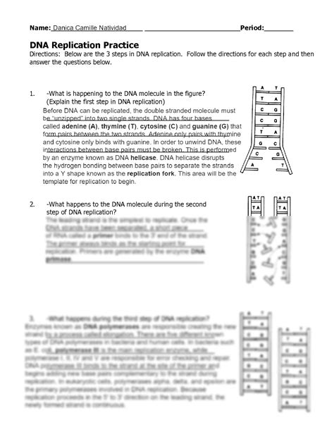 Dna Rna And Replication Worksheet Answer Key Dna Replication Worksheet Answer Key Quizlet