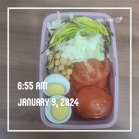직장인 도시락 공유 240109 토마토구이 Daum 카페