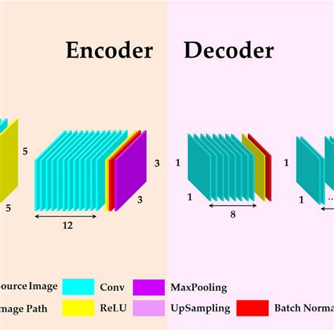 The Architecture Of The Cae Download Scientific Diagram