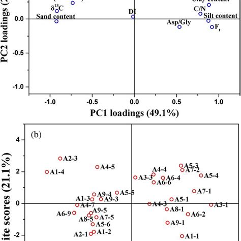 Plot of δ C values versus C N ratios a identification of Download Scientific Diagram