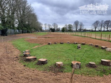 Living With Water Bilton Community Primary School