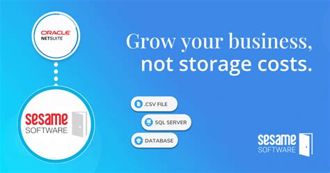 Sesame Software On Linkedin Netsuite Export Sesame Software