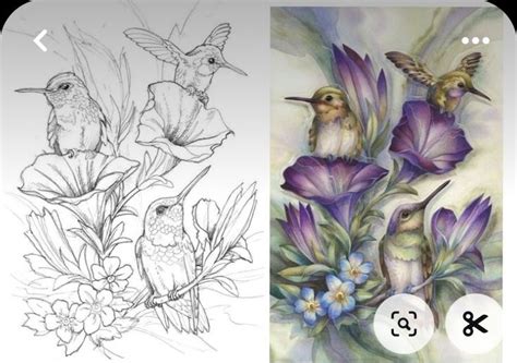 Beautiful Flower Drawing With Hummingbirds