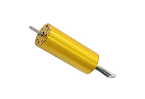 Coreless Brushless DC Motor BLDC Motors RIC MOTOR