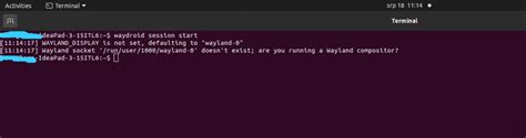 waydroid not launching wayland display is not set defaulting to