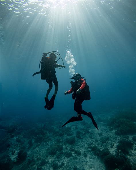 Propriano Plongée Baptêmes Explorations Et Formations De Plongée Sous Marine En Corse