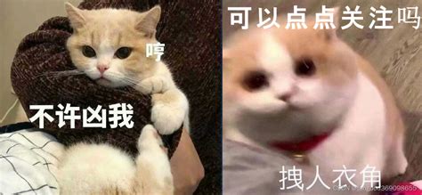 超详细手把手教你cordova开发使用指南自定义插件，jsbridge Csdn博客