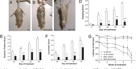 Pimelic Acid Semantic Scholar