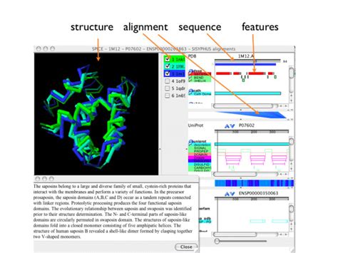 Spice Displays A Multiple Structure Alignment Of The Saposins As