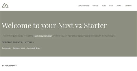 nuxt v2 starter codesandbox