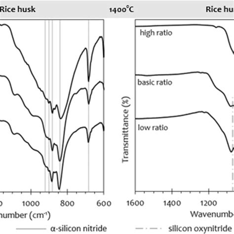 PDF α Si N and Si N O whiskers from rice husk and industrial rice husk ash