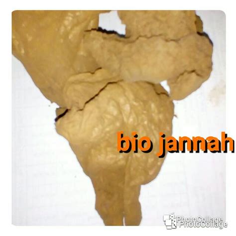 Impes Mushroom 10 Gr Shopee Malaysia