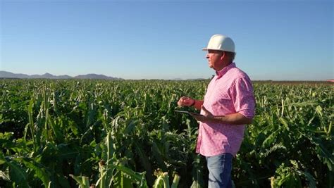 Imágenes De Raiser Descubre Bancos De Fotos Ilustraciones Vectores Y