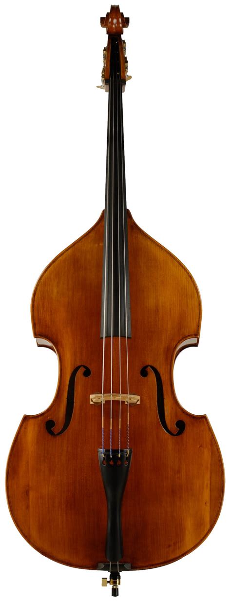 Cello And Bass — Wyatt Violin Shop
