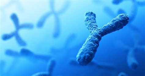 News Y Str Dna Profiling A Guide For Legal Professionals Keith