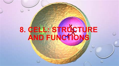 Class 8 Ncert Science Chapter Cell Structure And Functions By Gaurav Ghankhede Ppt