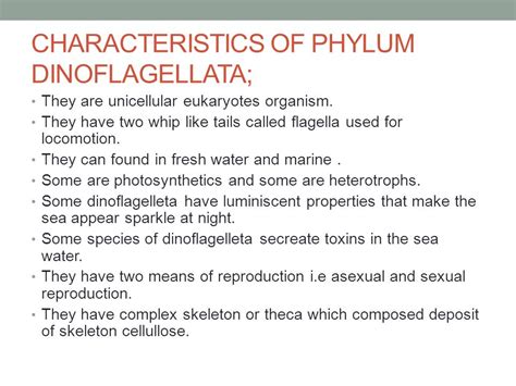 Phylum Dinoflagellata