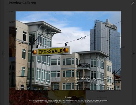 Best Wordpress Gallery Plugin Stack Overflow