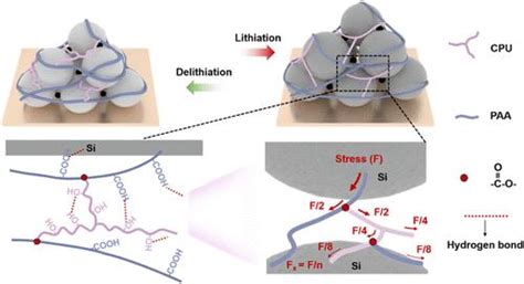 High Toughness And Hierarchical Stress Dissipating Binder Based On Physicochemical Dual Cross