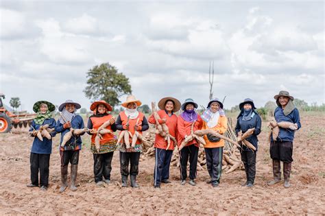 สำนักงานเกษตรอ สำนักงานเกษตรอำเภอบัวลาย จังหวัดนครราชสีมา