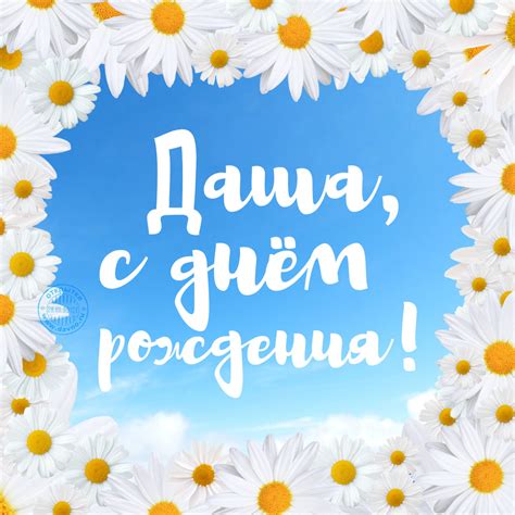 Поздравление Даше с ромашками