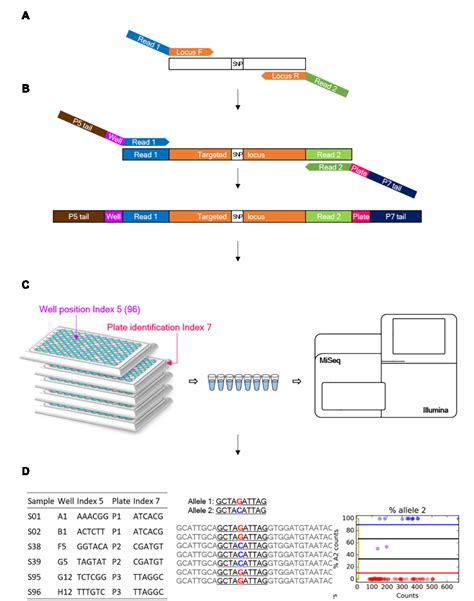 Figure 1 From Development Of A Panel Of Genotyping In Thousands By Sequencing In Capsicum