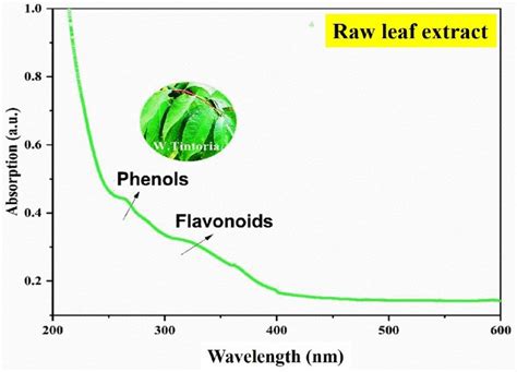 Uv Vis Absorption Spectra Of Raw Leaf Extract Download Scientific Diagram