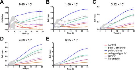 Coating And Cell Density Effects On Cell Substrate Adherence Of Lncap Download Scientific