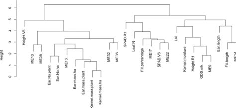 Hierarchical Clustering Of Phenotypic Traits And Module Eigengene