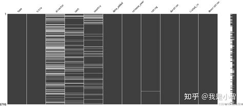 python数据分析案例——网飞影视剧数据分析及其可视化 知乎