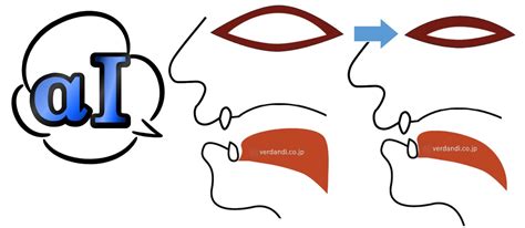 Emphasizeの意味と発音記号をイラストで解説 アプリで発音練習できる！ 発音大学