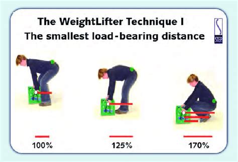 The Red Lines Show The Loadbearing Distance The Distance Between Download Scientific Diagram
