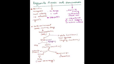 Raynauds Disease And Raynauds Phenomenon Difference And Pathophysiology Youtube