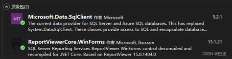 Winforms 应用（net 80）使用reportviewercorewinforms显示打印rdlc报表rdlc Winforms Reportviewcore Csdn博客