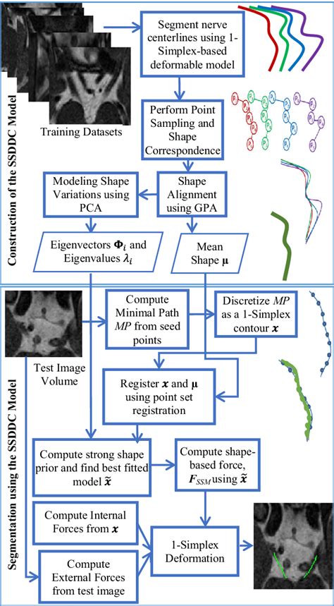 Flowchart Of Ssm Based Cranial Nerve Segmentation Download Scientific